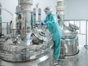 Services | AM Technical Solutions